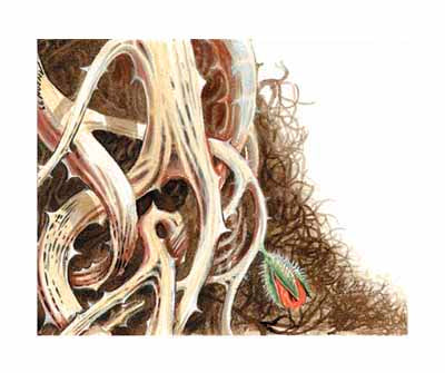 "Wall of Brambles" Giclée Fine Art Print – Anson Maddocks Art